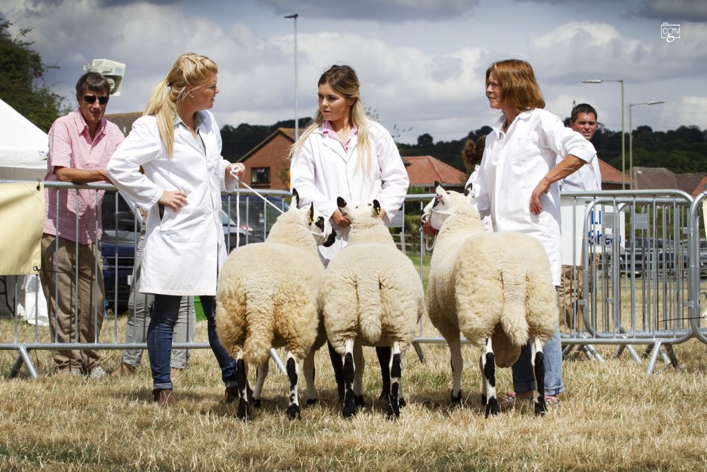 Tenbury Show winners - Country Girl Media